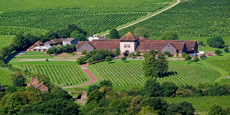 Denbies Wine Estate | Surrey Chambers