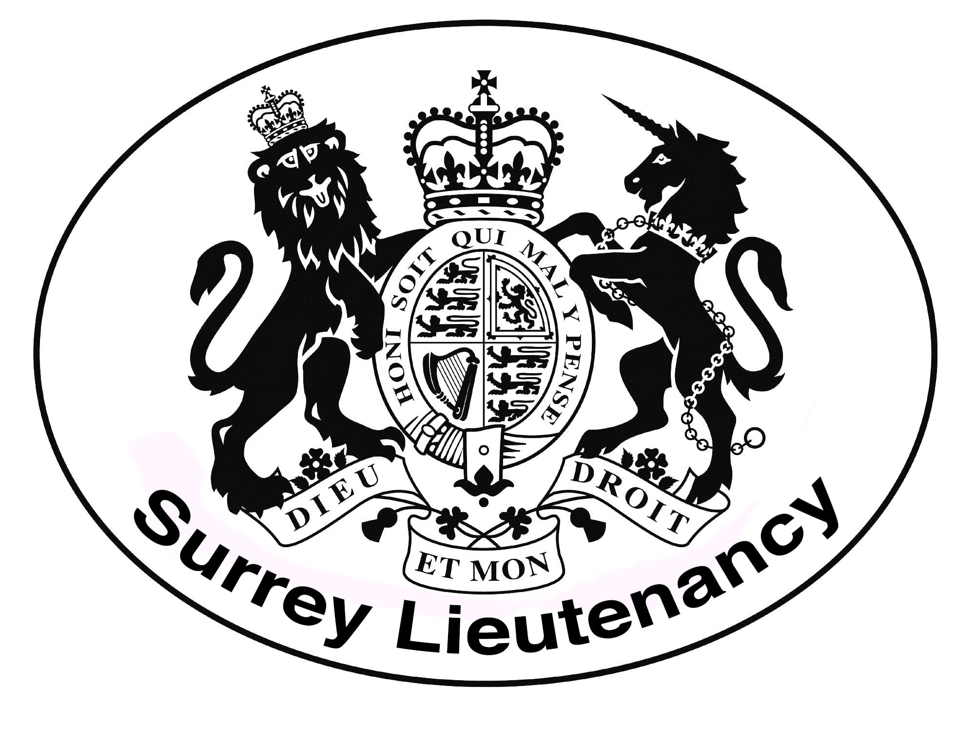 The Surrey Lieutenancy Arts and Culture Webinar - Surrey Chambers