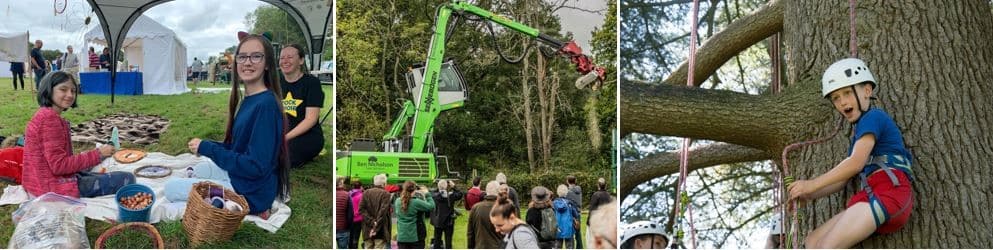 Celebrate Surrey’s woodlands and discover the wonder of wood at the ...