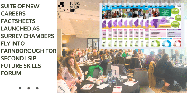 Suite of new careers factsheets launched as Surrey Chambers fly into ...